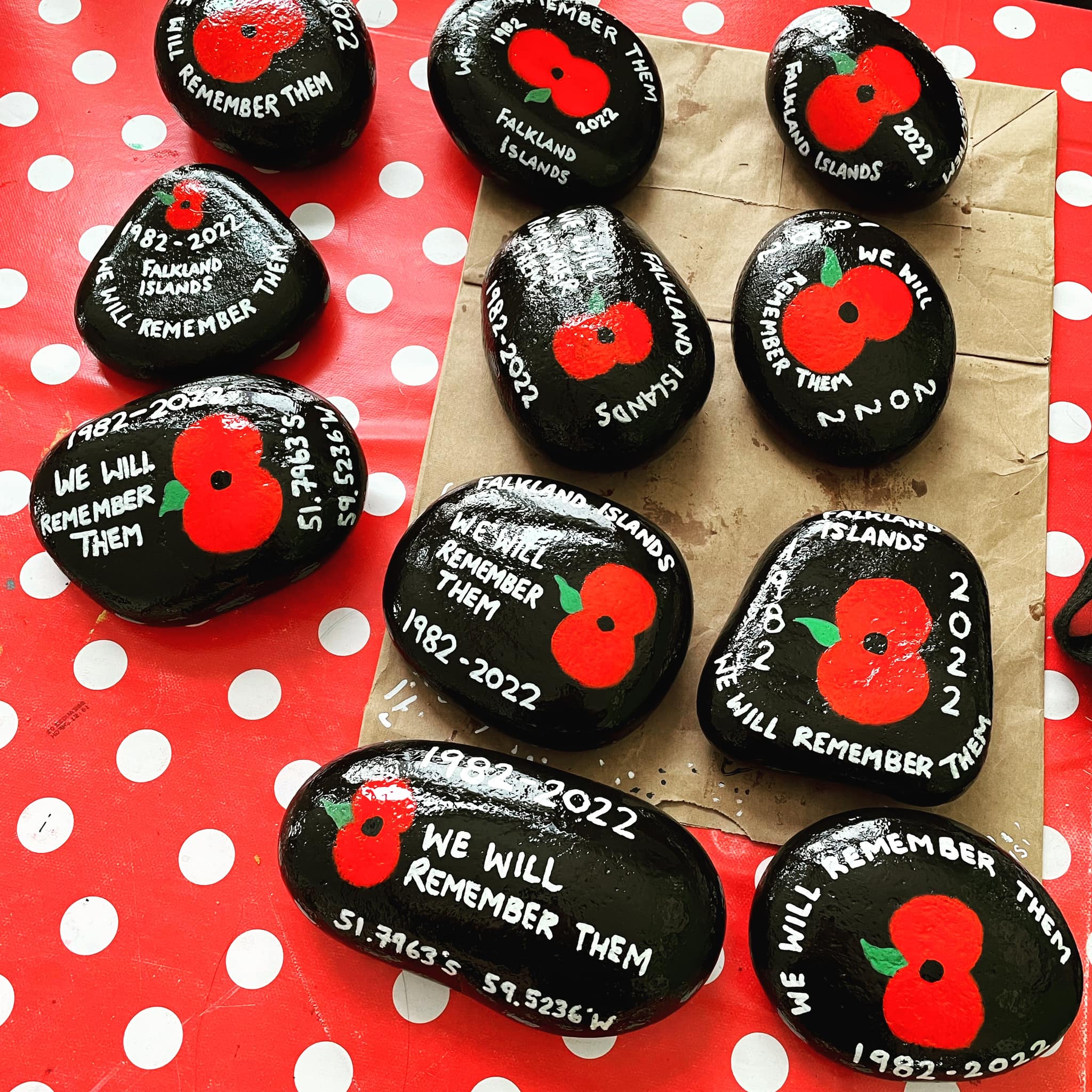 Painted Poppy rocks raise money for Falklands Veterans Foundation ...