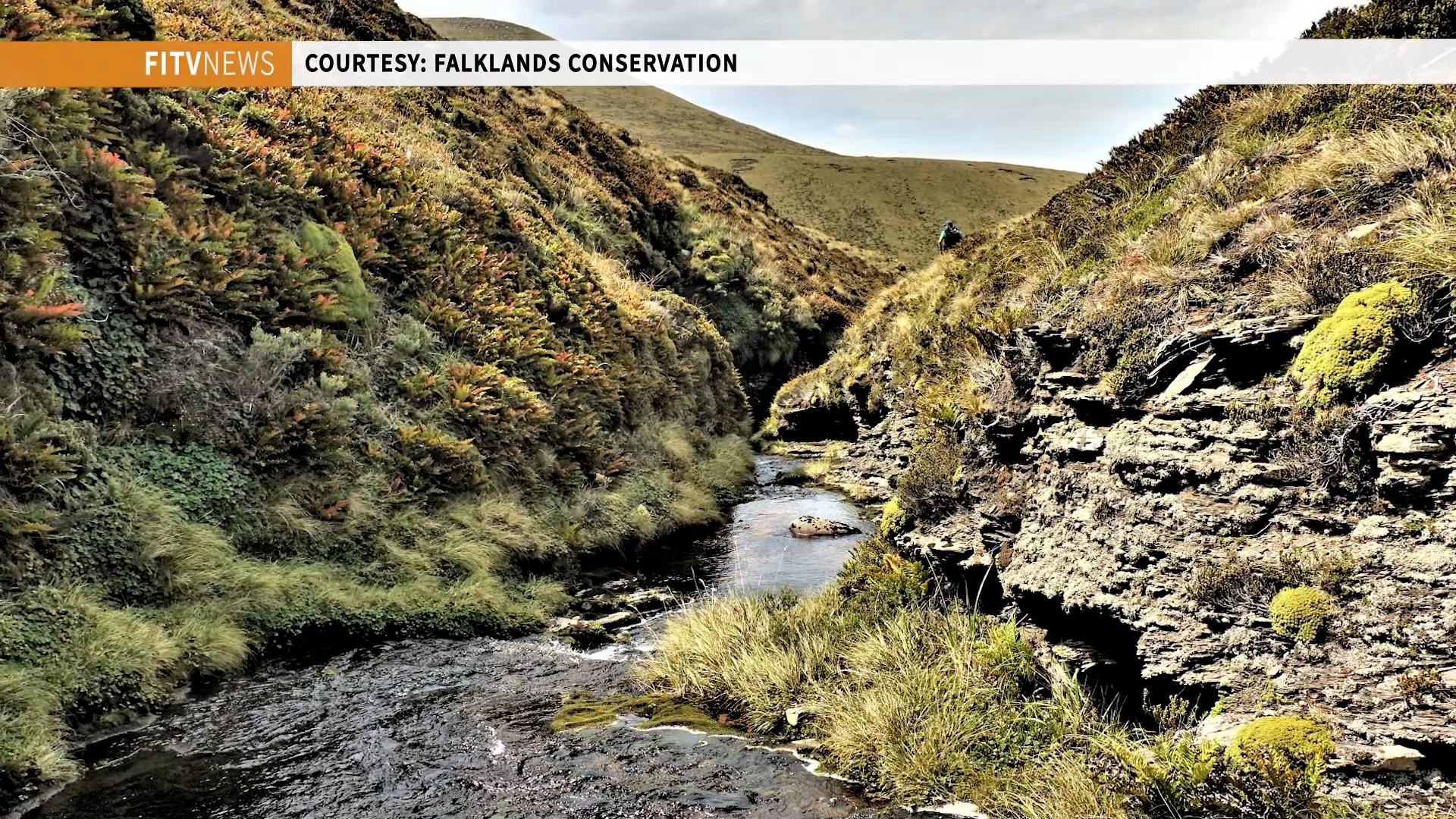 Hill Cove National Park Consultation Launched | Falkland Islands Television